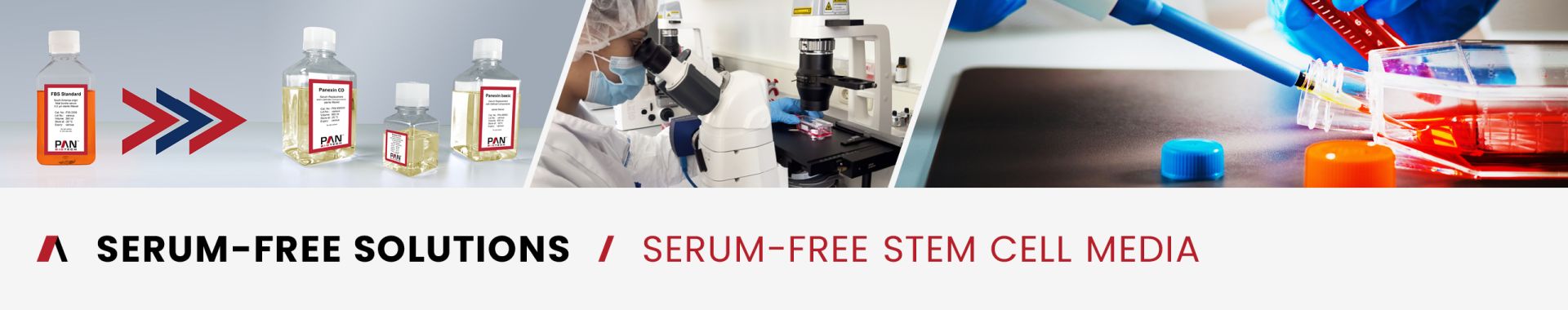 Serum-Free Stem Cell Media